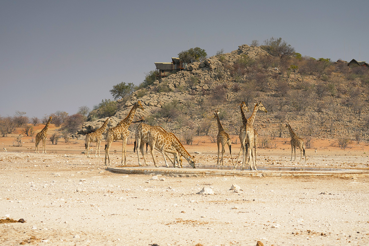 Dolomite Resort · West Etosha National Park · NWR