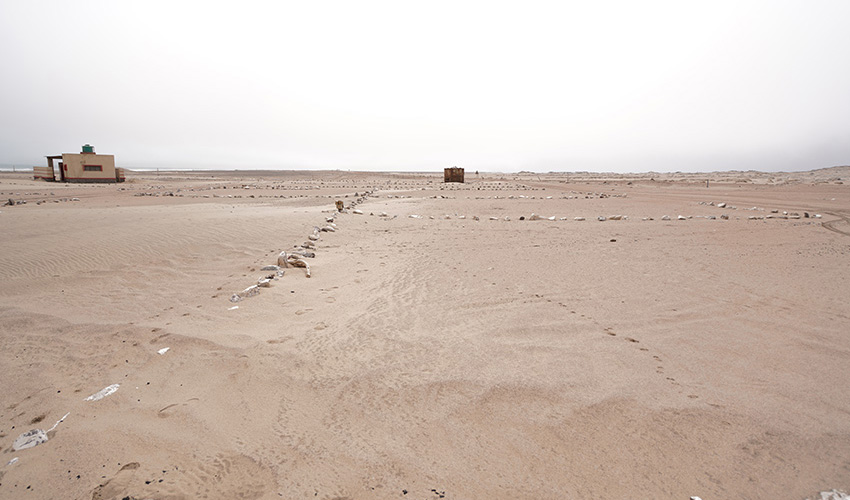 Photos of Torra Bay Skeleton Coast Namibia